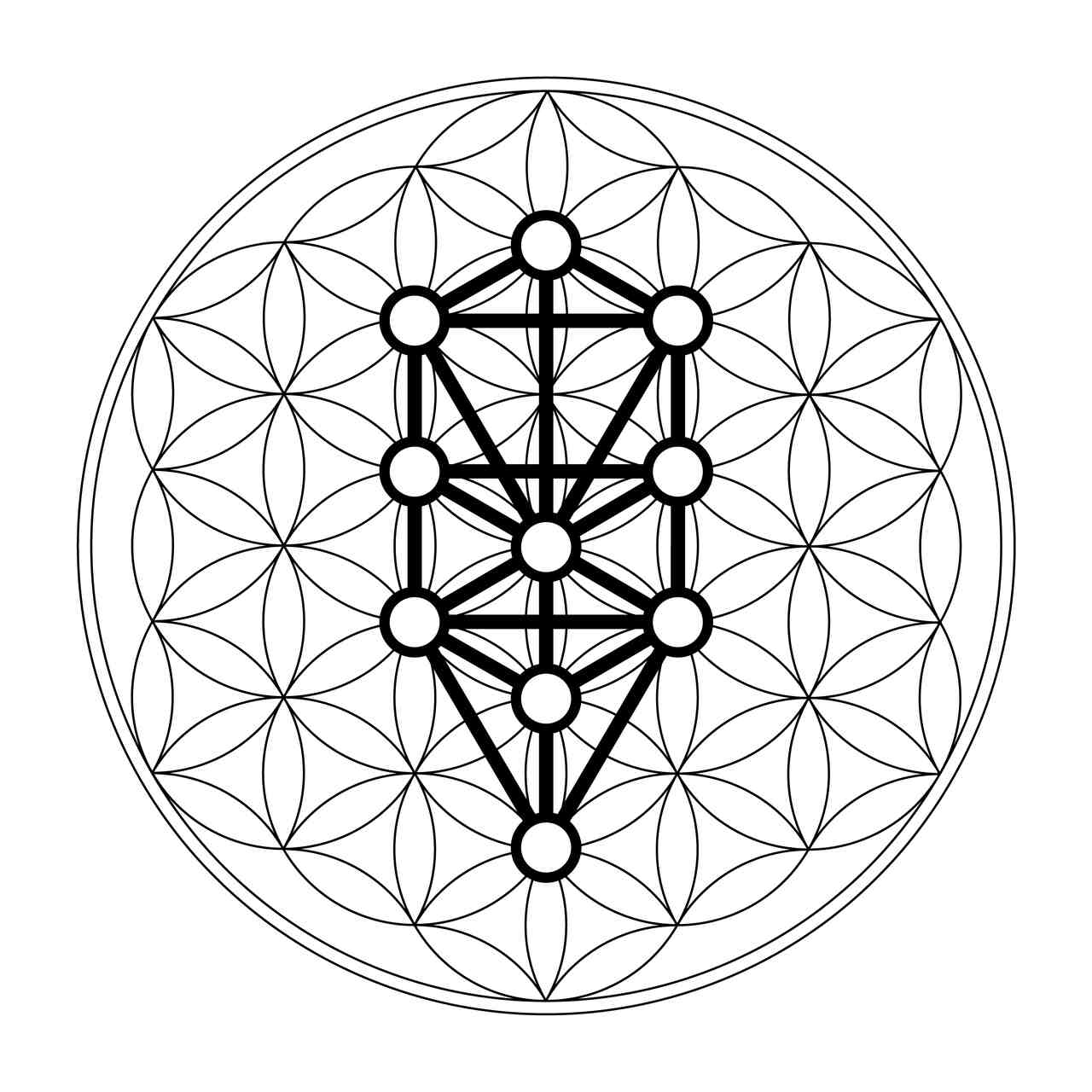 Flor da Vida: significado, origem, simbolismos e como usar [Guia]