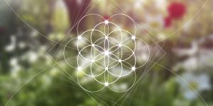 Flor da Vida: significado, origem, simbolismos e como usar [Guia]